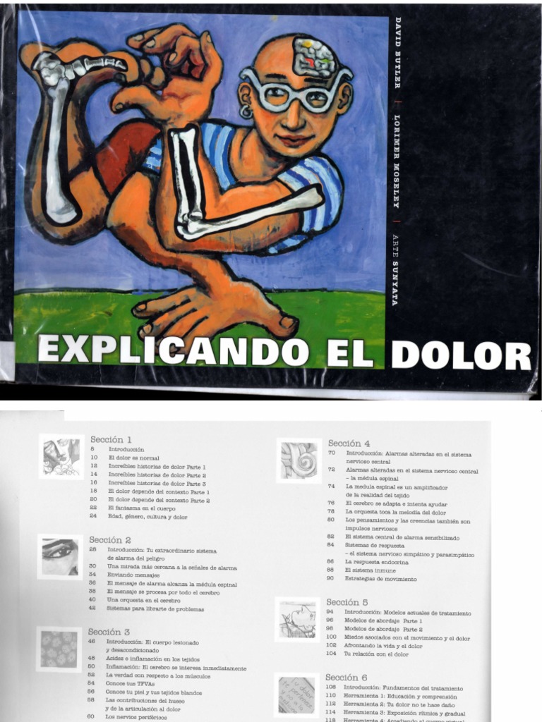 Explicando El Dolor (Explain Pain) - Lorimer Moseley y David Butler | PDF