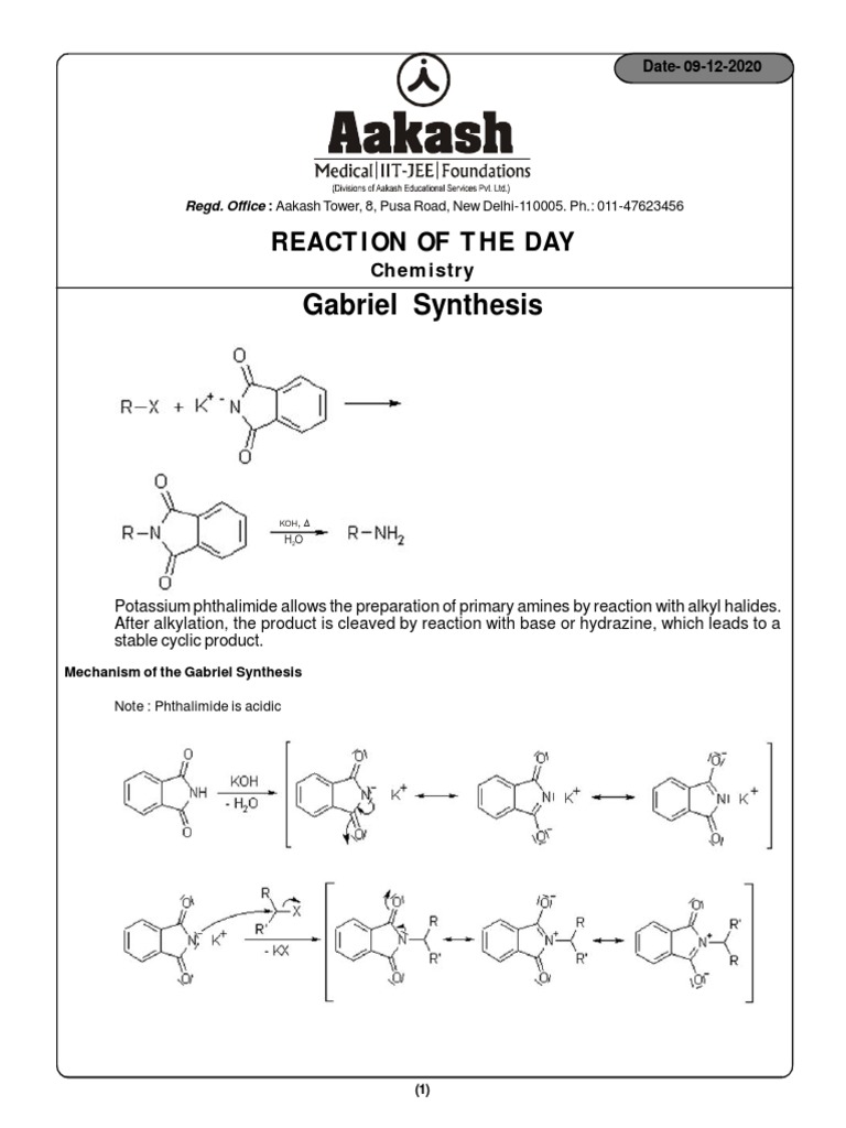 Gabriel Synthesis: Reaction of The Day | PDF | Chemical Compounds ...