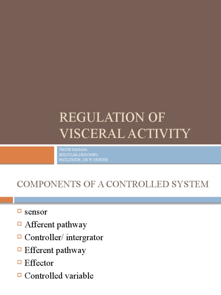 Regulation of Visceral Activity4 | PDF | Hypothalamus | Appetite