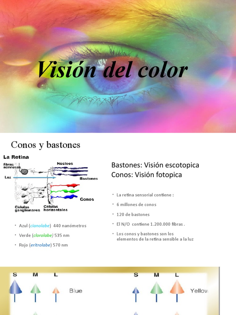 Visión Del Color | PDF
