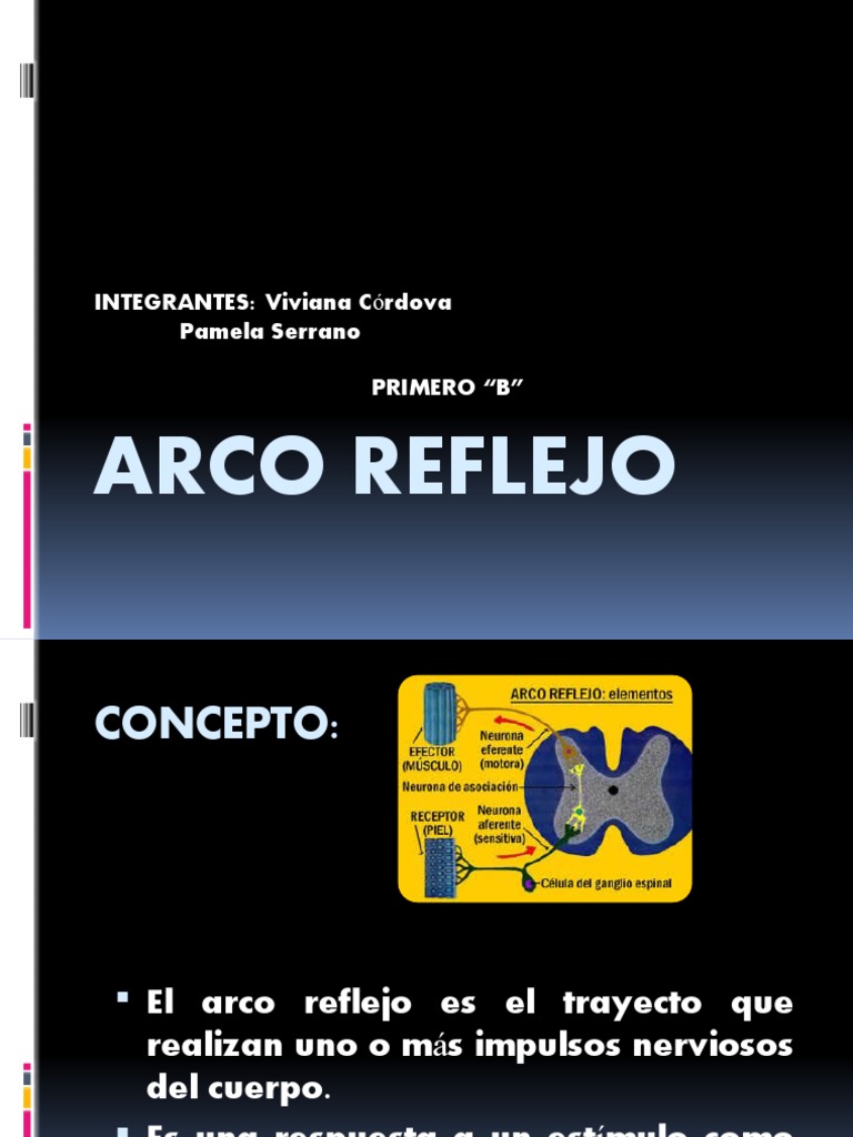 El concepto y componentes del arco reflejo | PDF