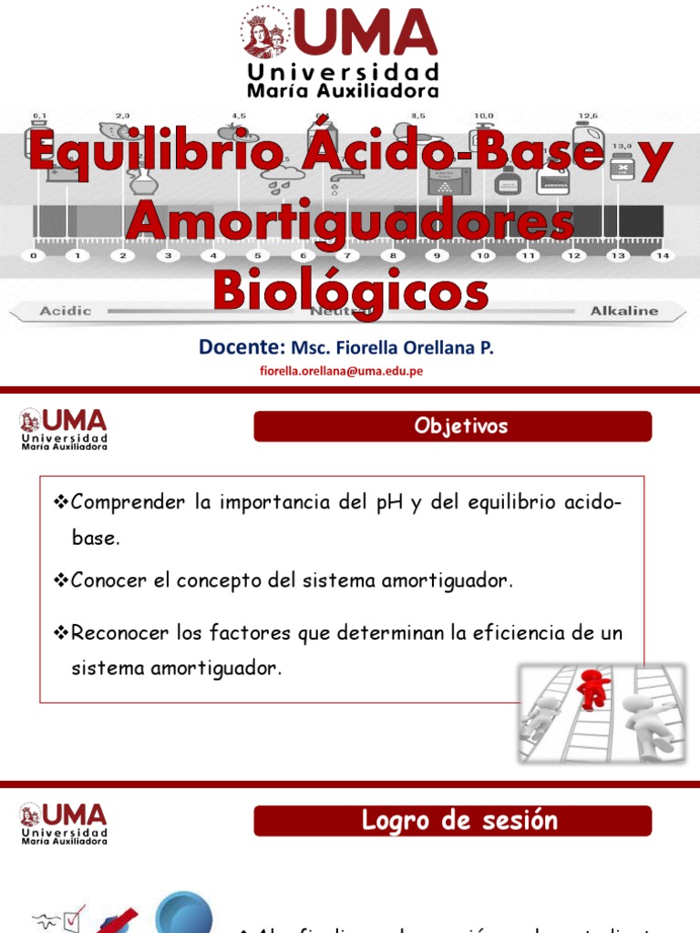 Clase 3. Equilibrio Ácido-Base y Amortiguadores Biológicos | PDF | Ph | Ácido