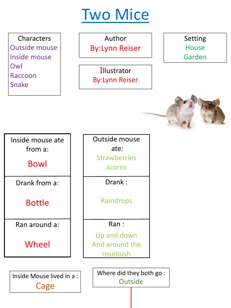 Two Mice: By:Lynn Reiser | PDF
