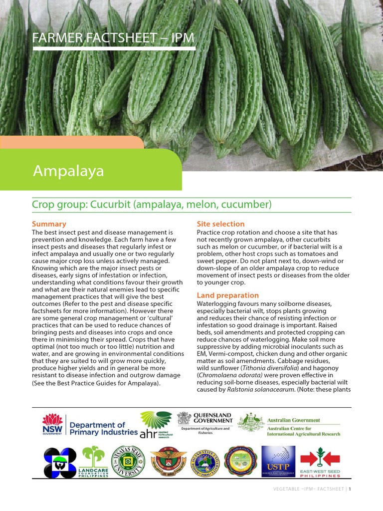 Managing Ampalaya Pests and Diseases | PDF | Pest (Organism) | Plants
