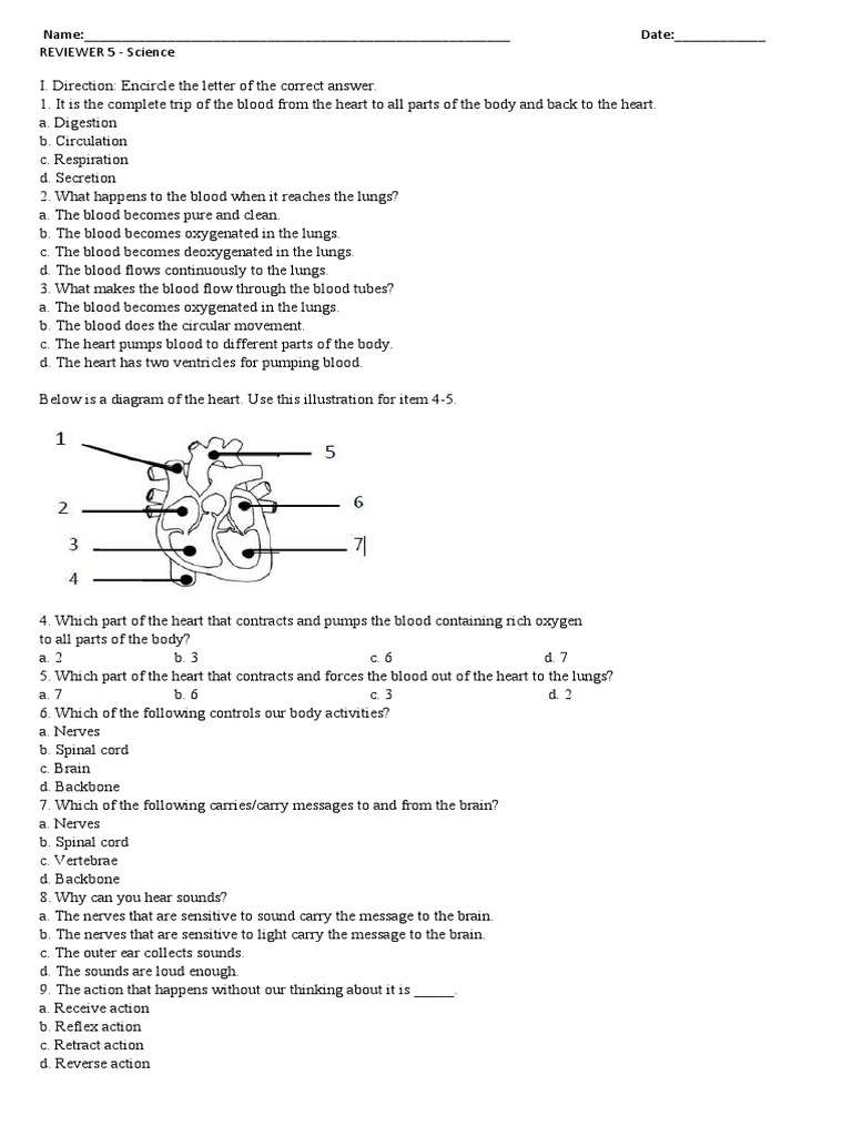 Pisay Exam 5 | PDF | Plate Tectonics | Stars