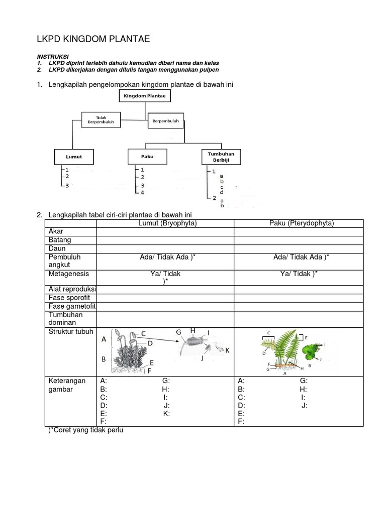 LKPD 1 Kingdom Plantae | PDF | Sains & Matematika
