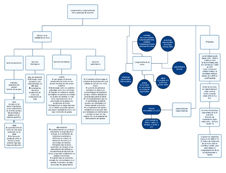 Mapa Conceptual Propiedades de La Leche | PDF | Leche | Comida y bebida