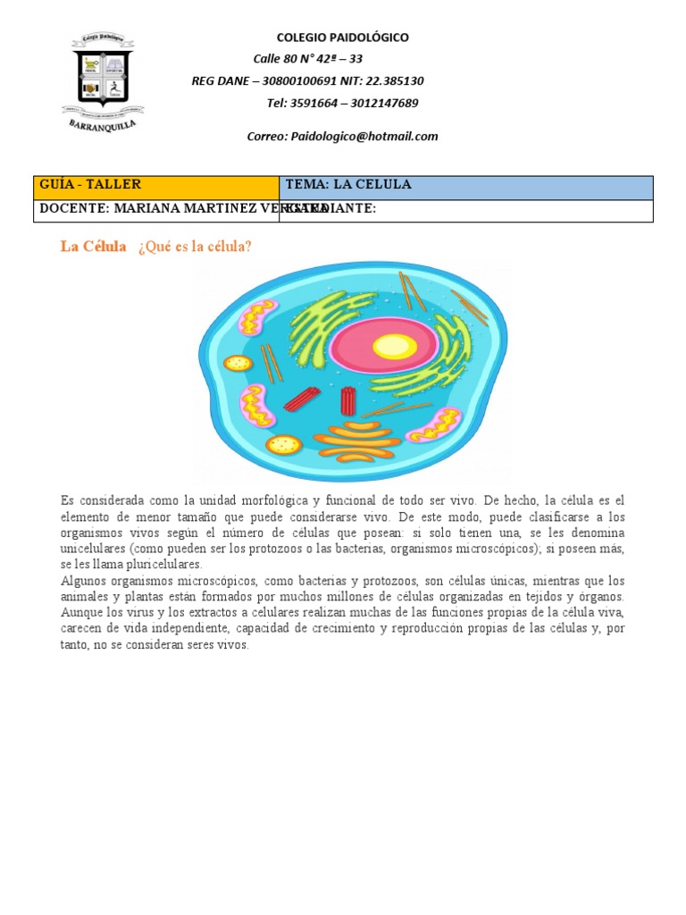 Guía Taller sobre la Célula | PDF | Microscopio | Biología Celular)