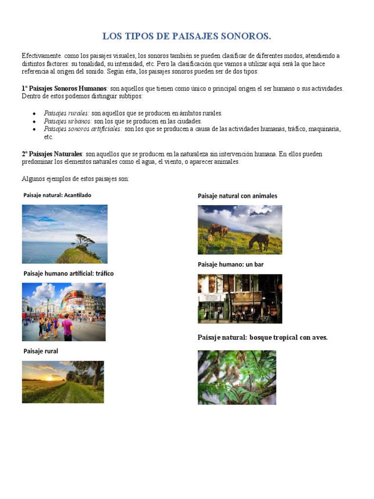 Tipos de Paisajes Sonoros | PDF | Libros para adolescentes