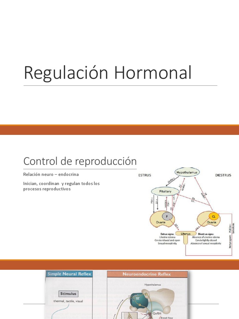 Regulación Hormonal | PDF | Hormona | Hormona luteinizante