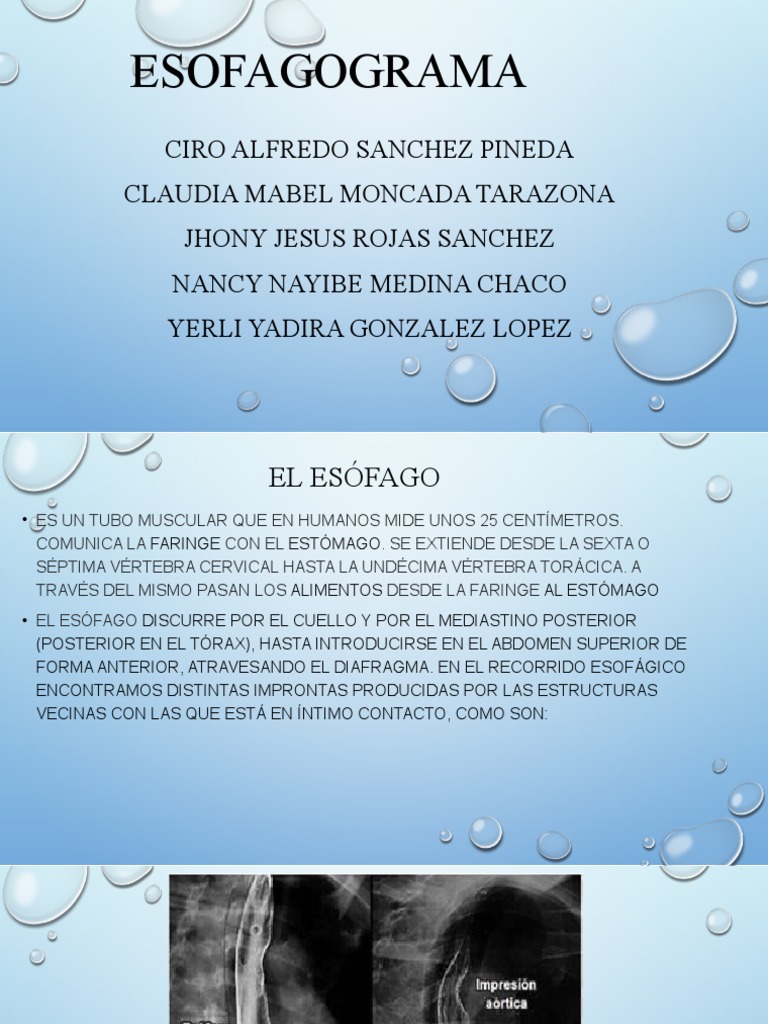 ESOFAGOGRAMA Listo | PDF | Esófago | Enfermedades y trastornos