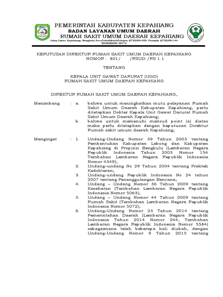 SK DOKTER KEPALA Igd | PDF