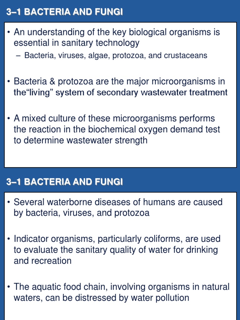 1 Lecture Note Set 4 Biological Overview Part OneP | PDF | Bacteria ...