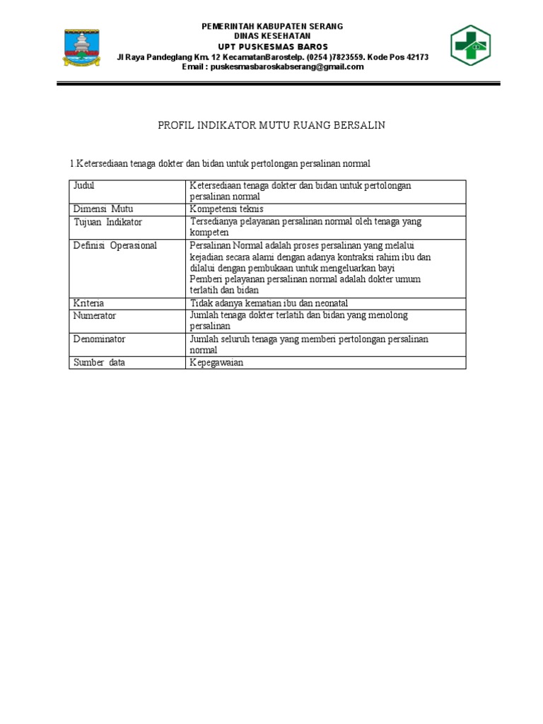 Profil Indikator Mutu Ruang Bersalin | PDF