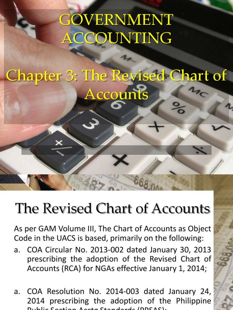 CHAPTER 3 - The Revised Chart of Accounts | PDF | Debits And Credits | Equity (Finance)