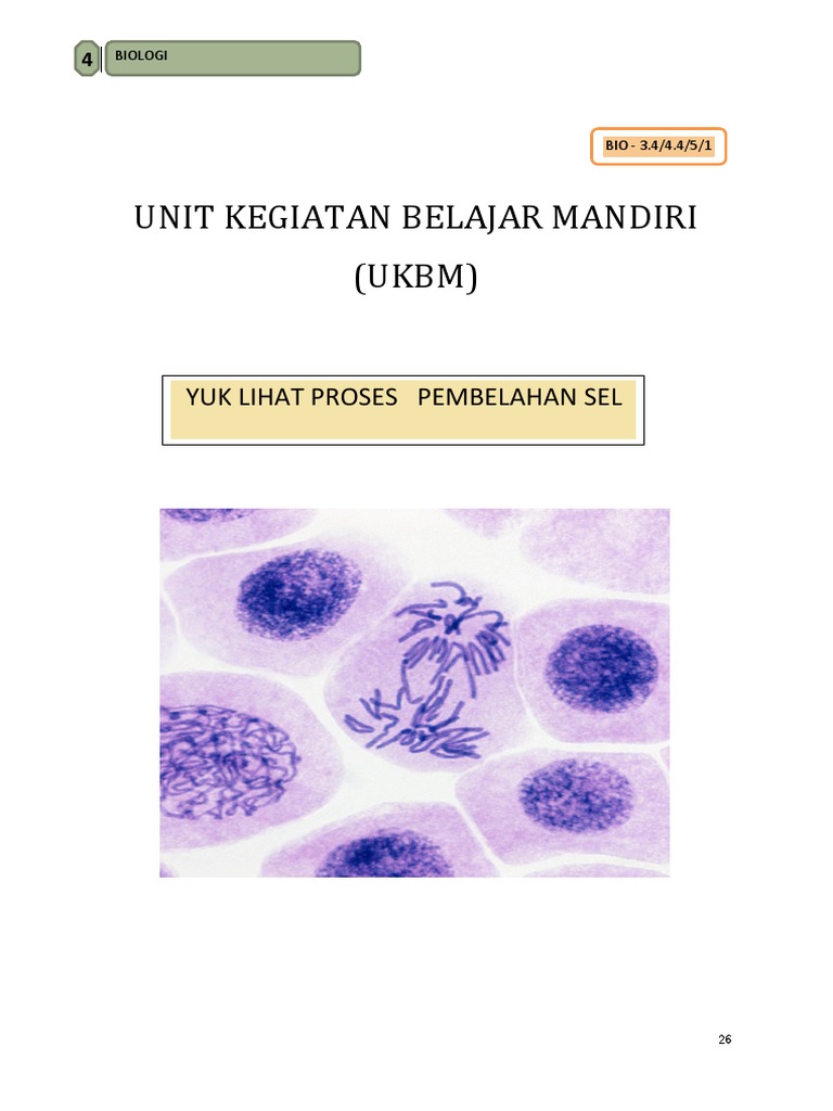 UKBM 3.4. Pembelahan Sel | PDF | Kesehatan Holistik