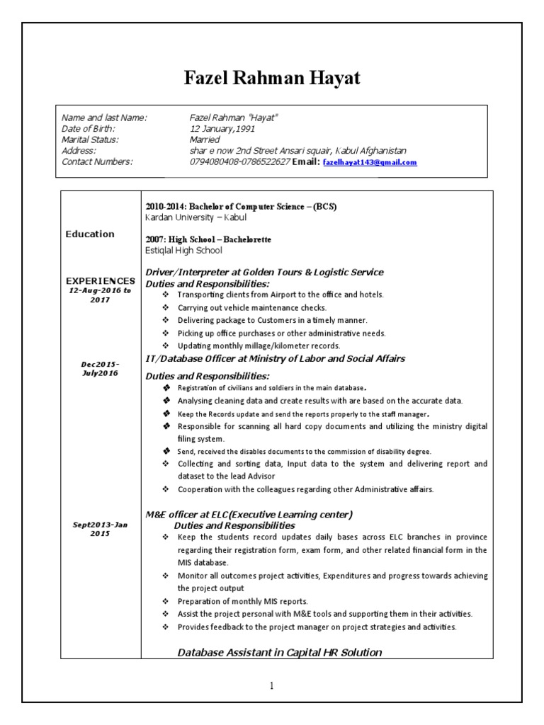 Hayat, Fazel Rahman - Updated CV | PDF | Databases | Computing