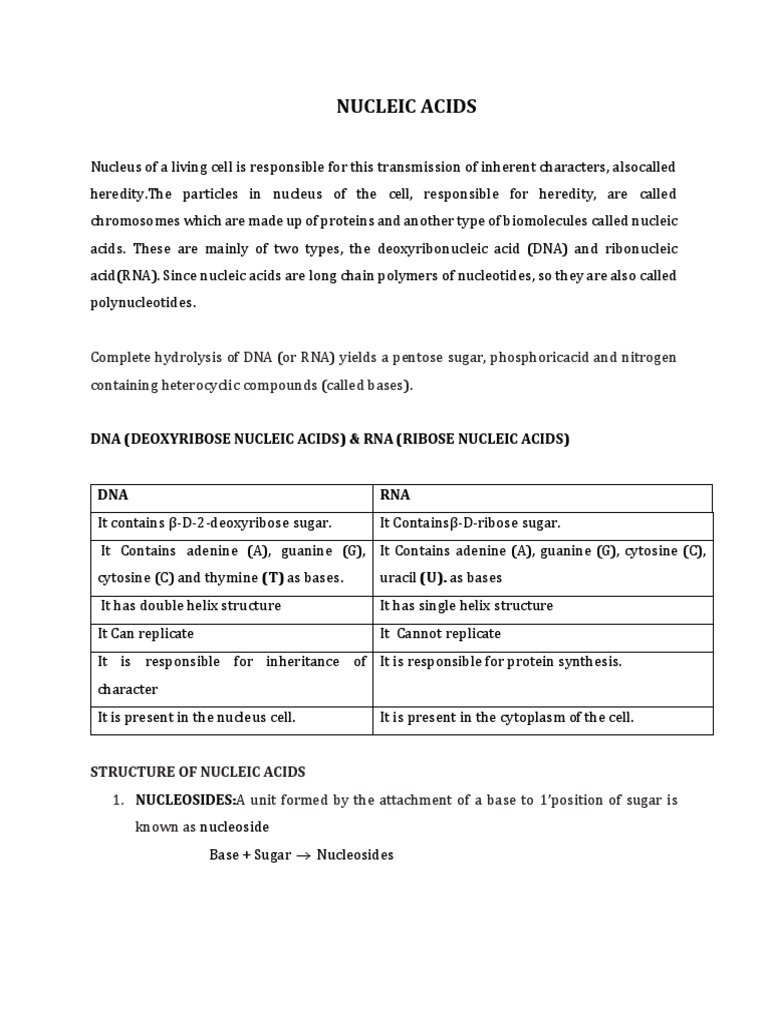 Nucleic Acid | PDF | Nucleic Acids | Nucleotides