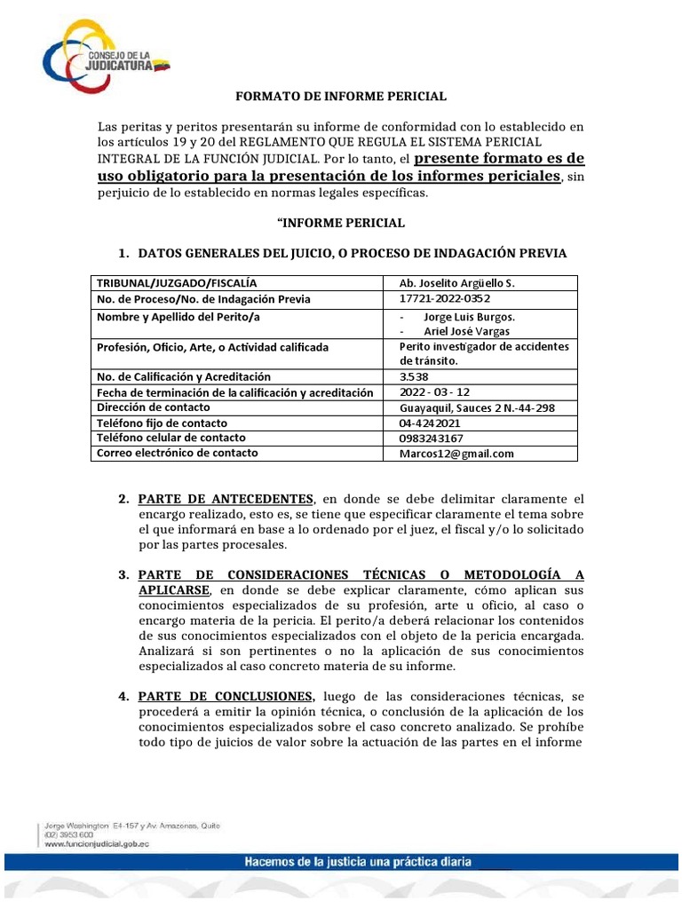 Formato de Informe Pericial Ok | PDF | Testigo experto | Justicia