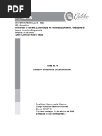 S2 Estación 1 - Tarea - Organizador Visual | PDF