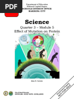 Amoeba Sisters Mutations Recap Guide | PDF | Genetic Code | Point Mutation