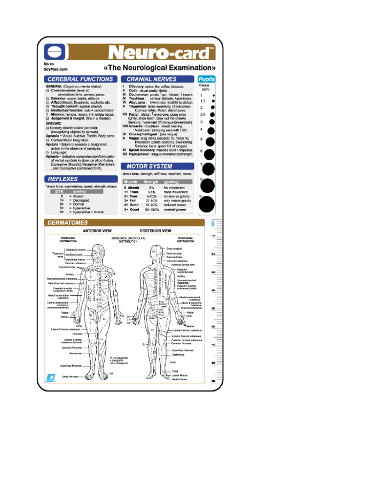 Neuro-Card The Neurological Examination | PDF