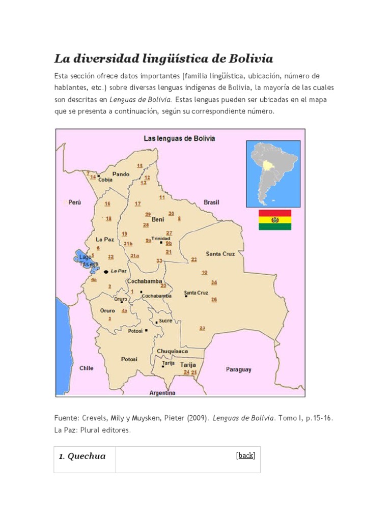 Mapa Lingüístico de Bolivia y Sus Lenguas | PDF | Bolivia | Lengua española