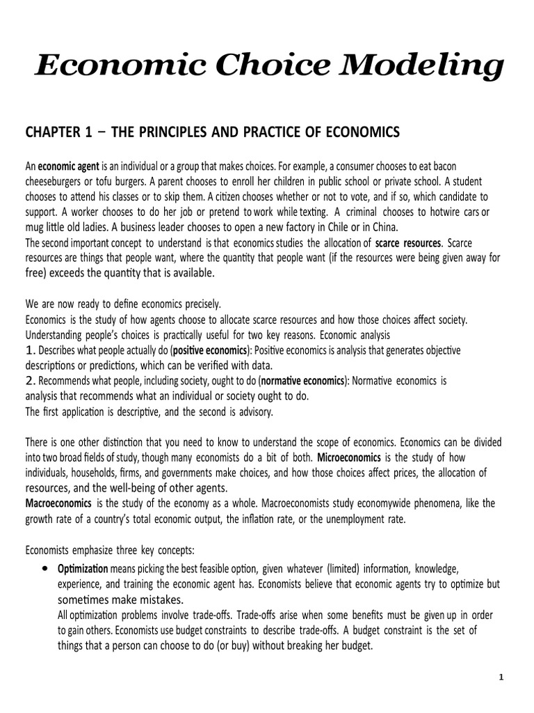 Economic Choice Modeling Explained | PDF | Elasticity (Economics ...