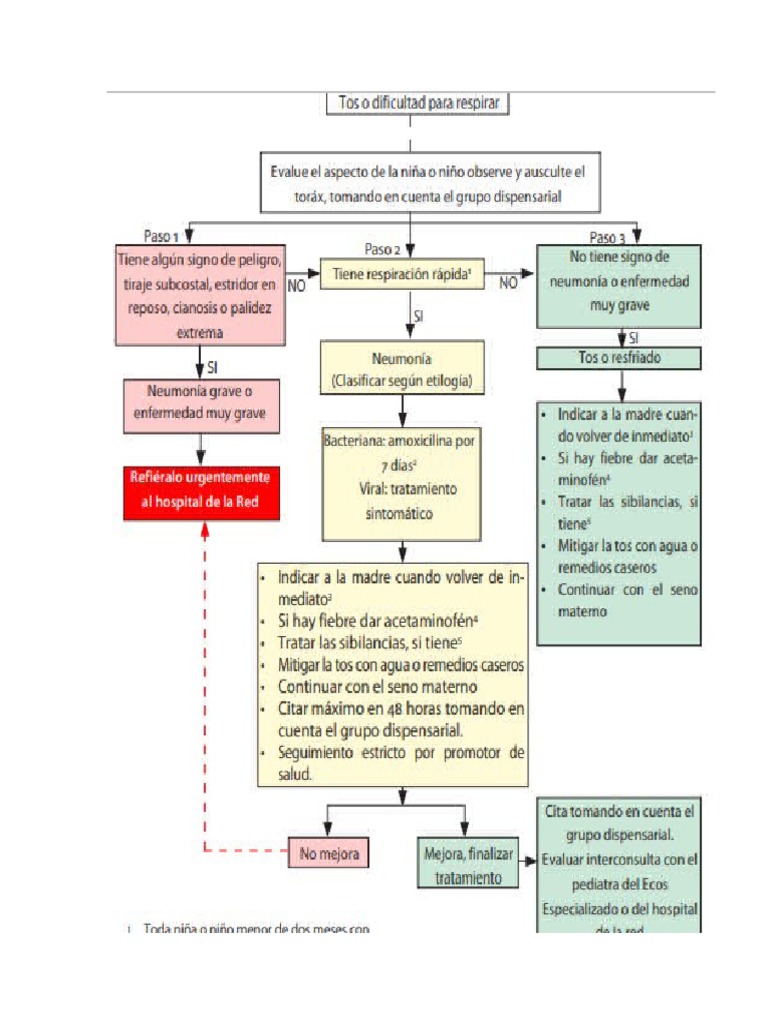 Flujograma AIEPI | PDF