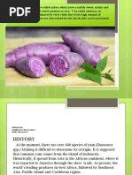 Ube Production Guide | PDF | Mulch | Fertilizer