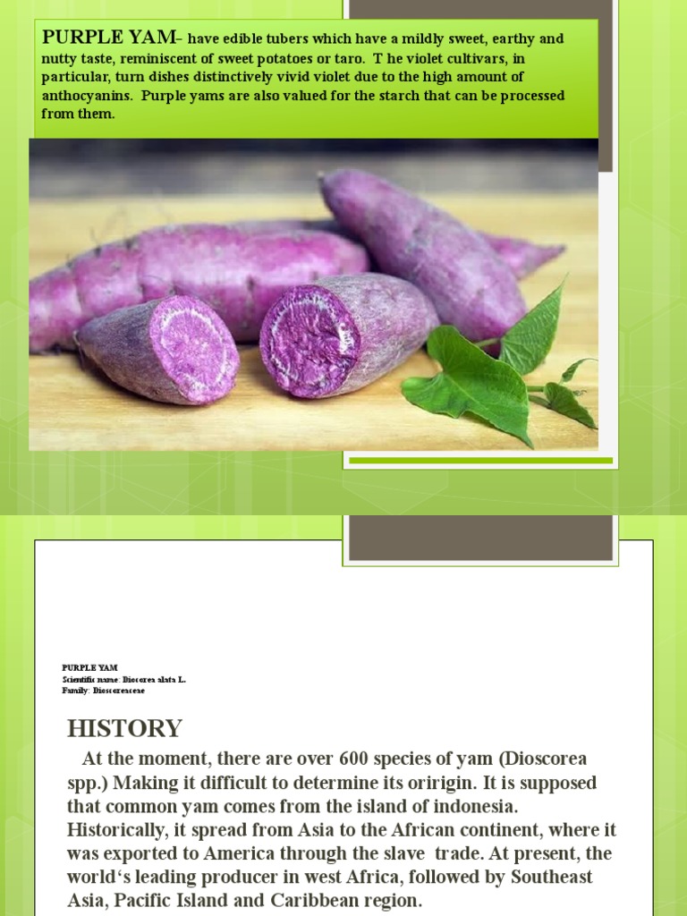 Purple Yam | PDF | Science & Mathematics