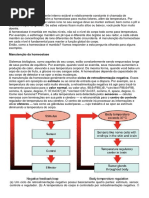Bula do Xarope Percof 6 mg/mL | PDF | Tosse | Xarope