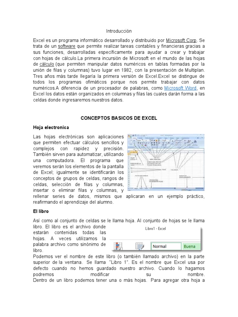 Conceptos Basicos de Excel | PDF | Microsoft Excel | Hoja de cálculo