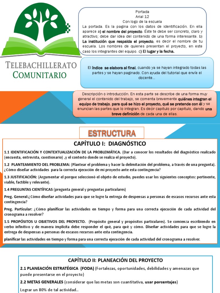 ESTRUCTURA Proyecto Comunitario.. TBC | PDF