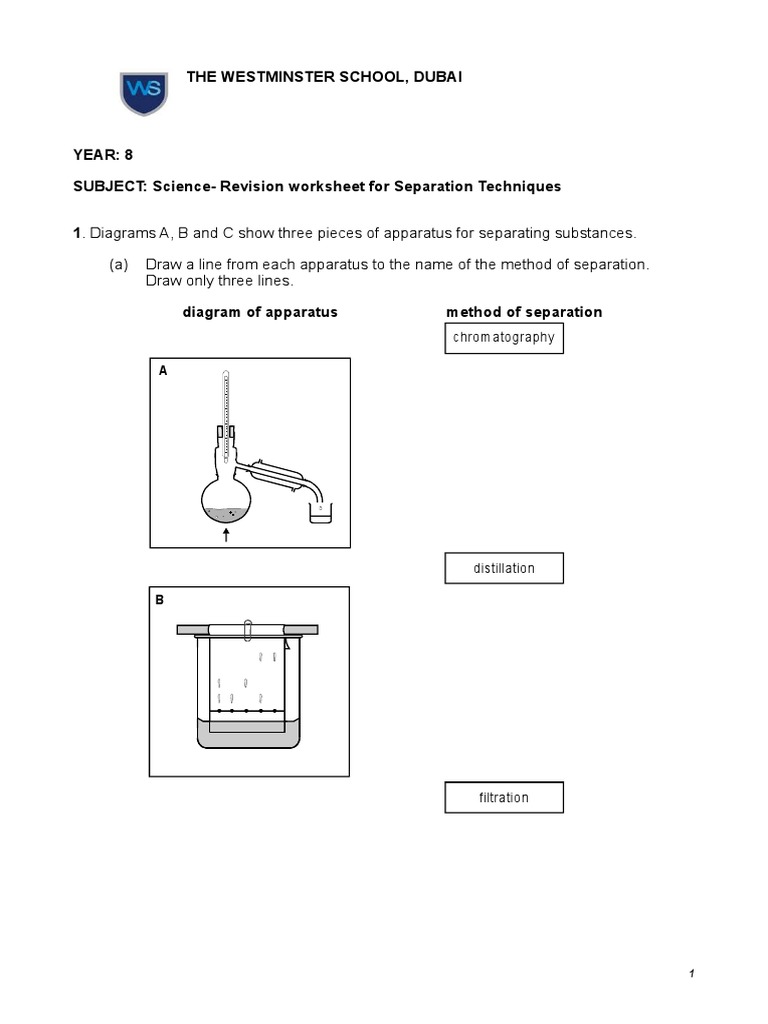 Separation_techniques_Questions_YR8 | PDF | Chromatography | Physical ...