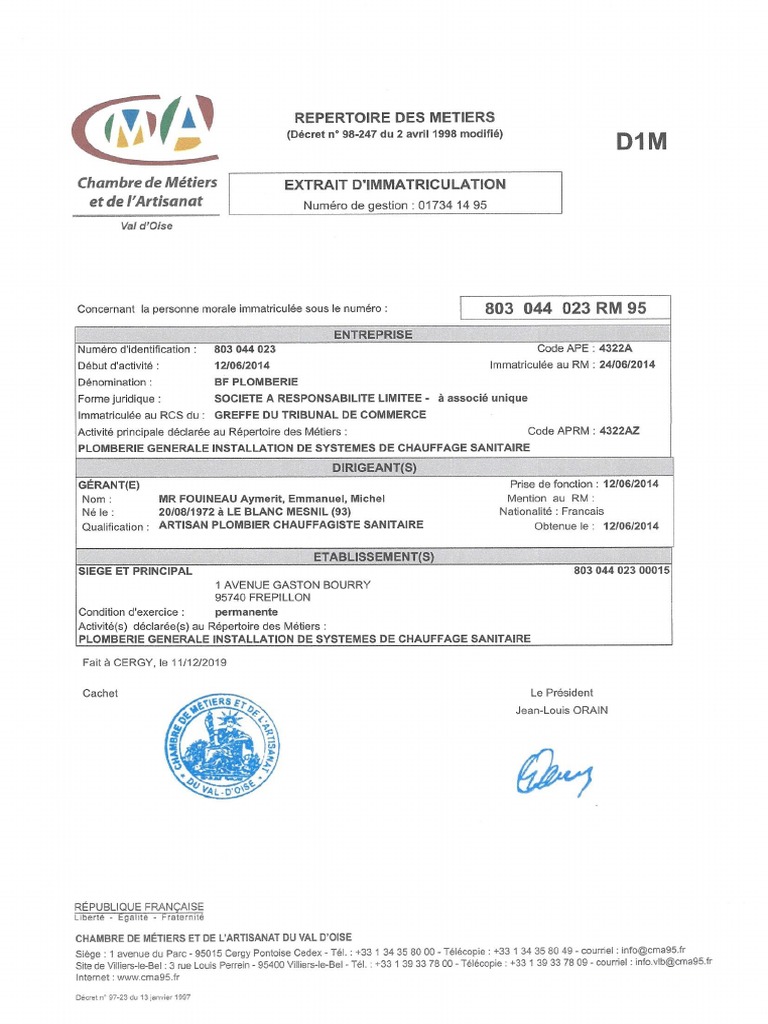 Extrait D'immatriculation Répertoire Des Métiers | PDF