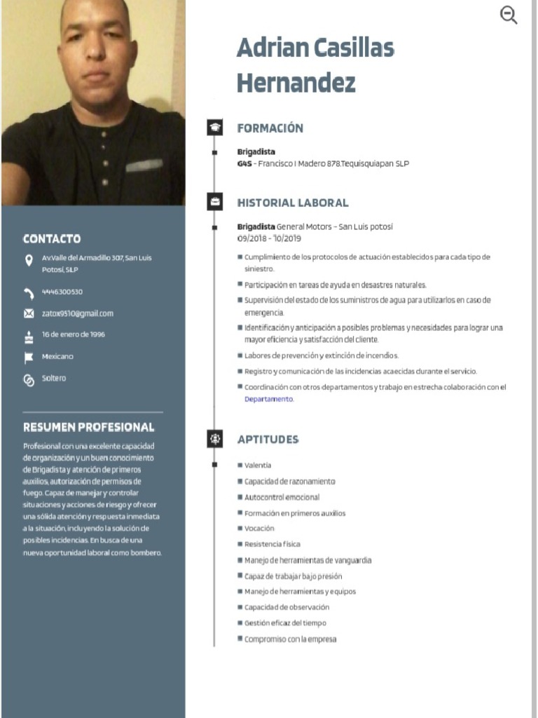 CV Adrian Casillas | PDF