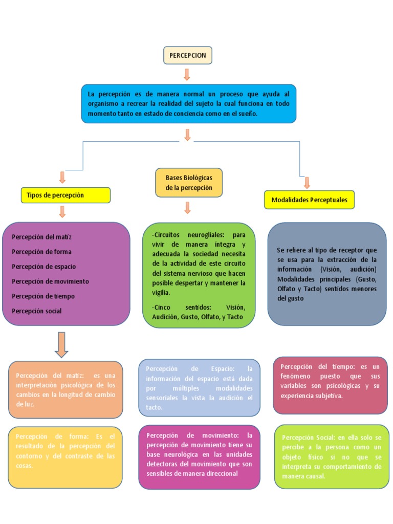 Mapa Conceptual Percepcion | PDF | Percepción | Percepción visual