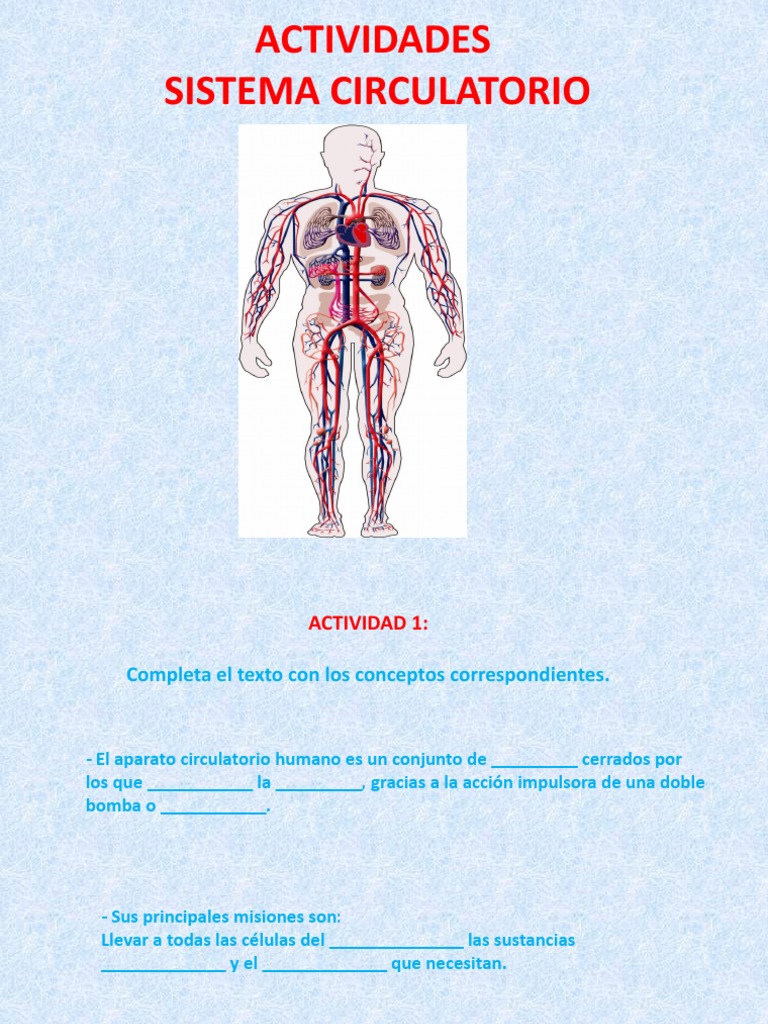 Actividades Del Sistema Circulatorio. | PDF | Agitación | Sistema ...