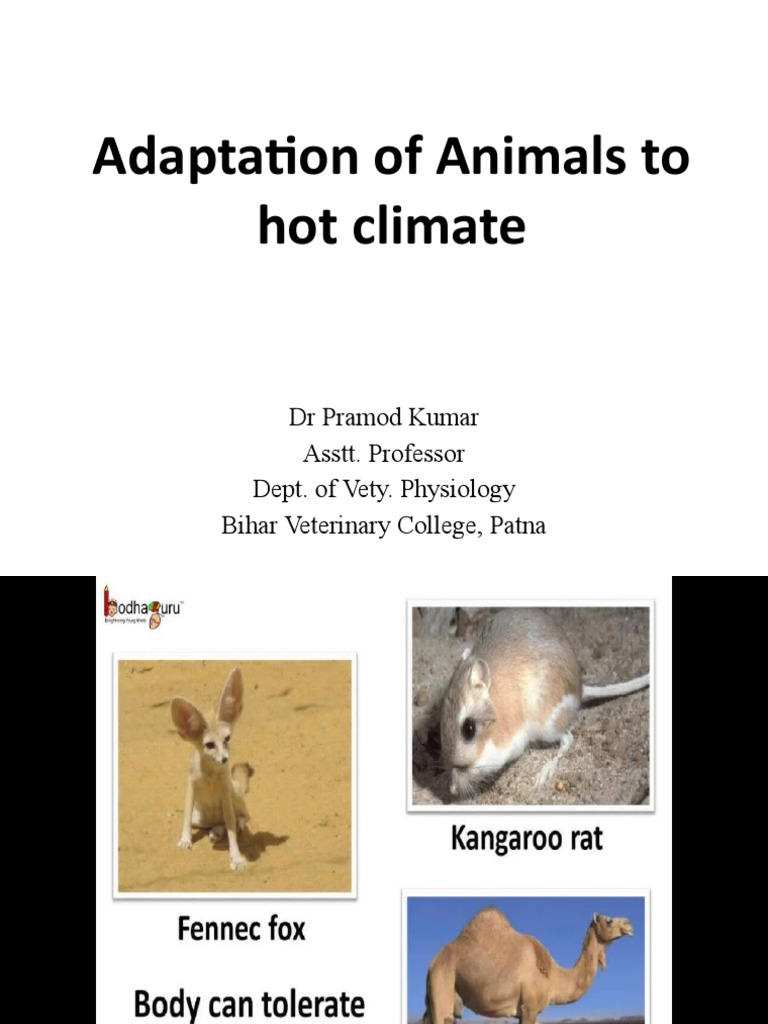Adaptation of Animals To Hot Climate | PDF | Thermoregulation | Humidity