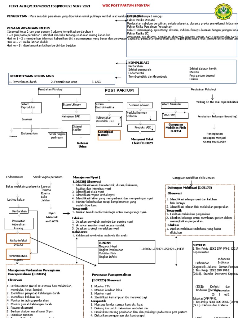 Woc Post Partum Fitri Asih | PDF