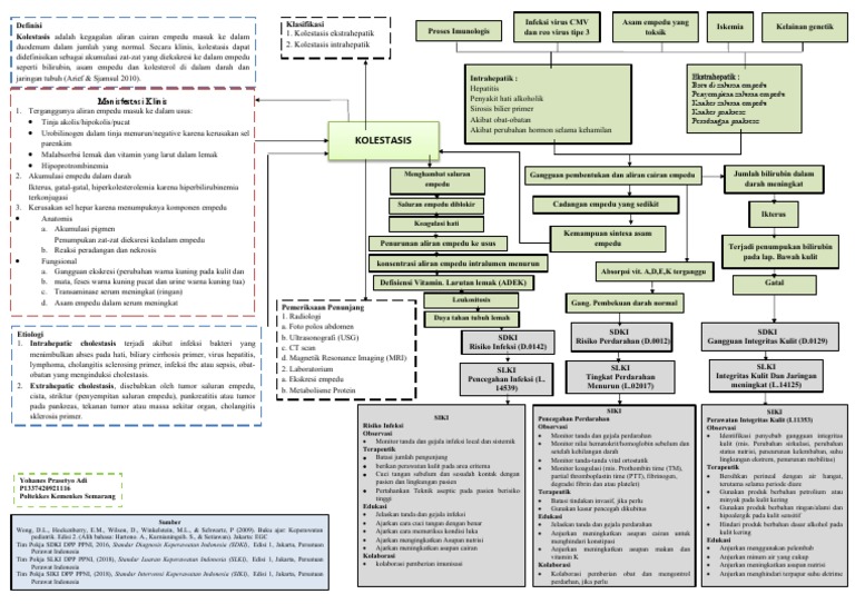 WOC Kolestasis Fix | PDF