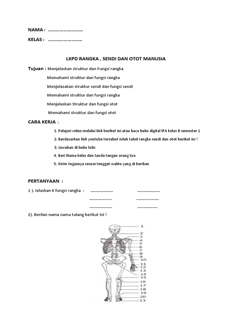 LKPD Rangka Manusia | PDF
