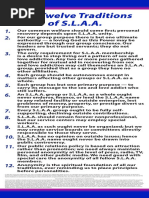 Slaa Group Starter Kit | PDF