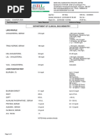 Interim Lab Report for Mr. Dummy | PDF | Medical Specialties