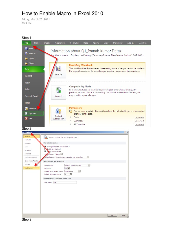 Enable Macros in Excel 2010 Guide | PDF