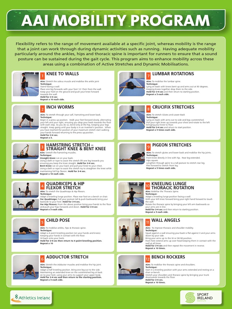 Aai Mobility Program: Knee To Walls Lumbar Rotations | PDF | Anatomical ...