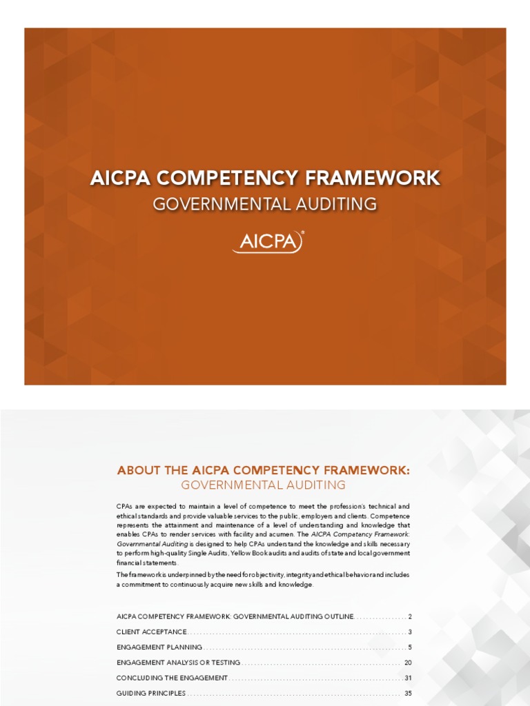 Aicpa Competency Framework Govt Accnt and Auditing - Final | PDF ...