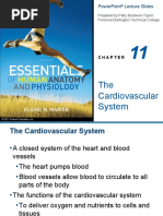 Exercise 2 Organ System Overview: BSN-1C | PDF | Human Body | Lymphatic ...