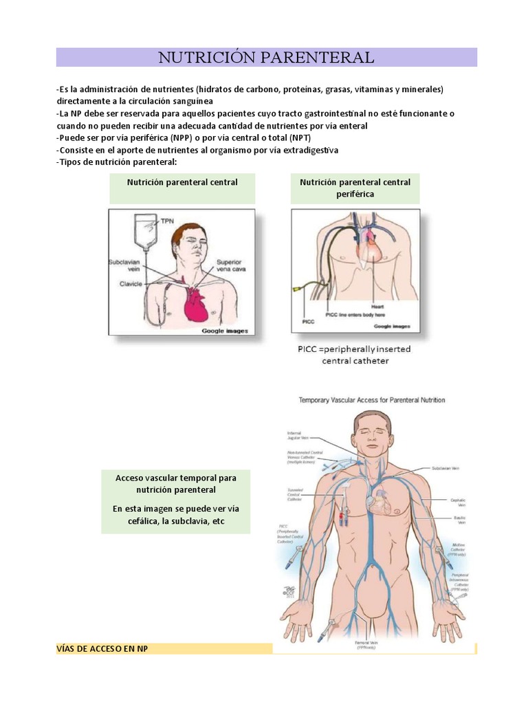 Nutrición Parenteral | PDF